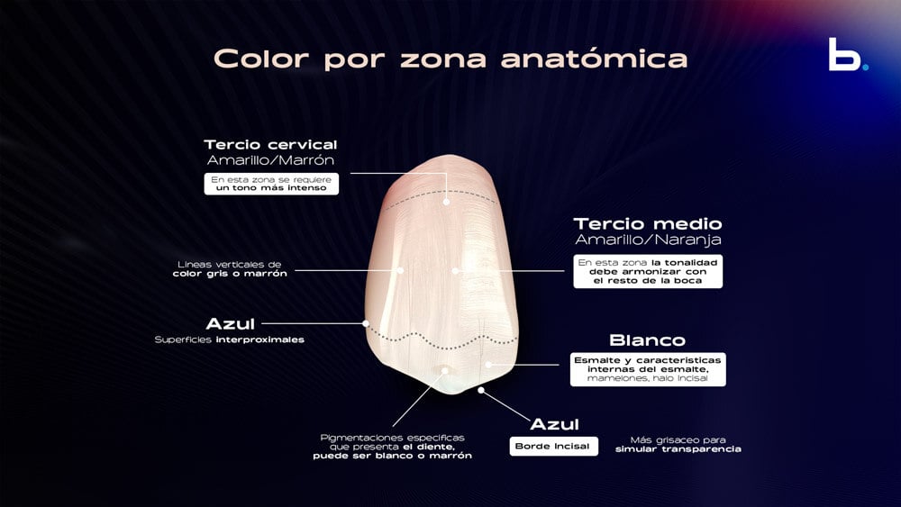 Escala de color de dientes: elige el color perfecto